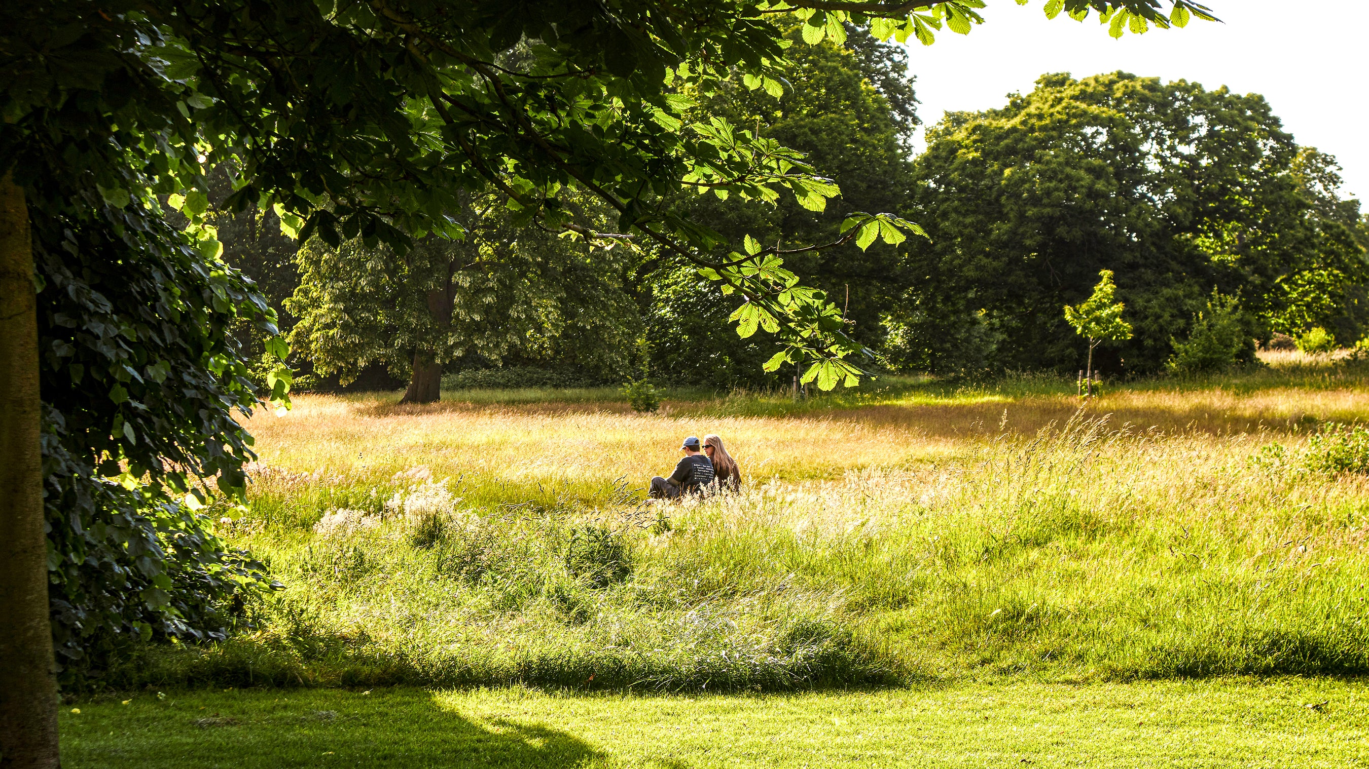 Mission Mountain | Disconnect to Reconnect